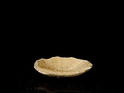 Atlas Art Stone shpk - ACP