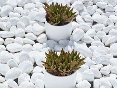 Swiss Home Decor Tirane - ACP