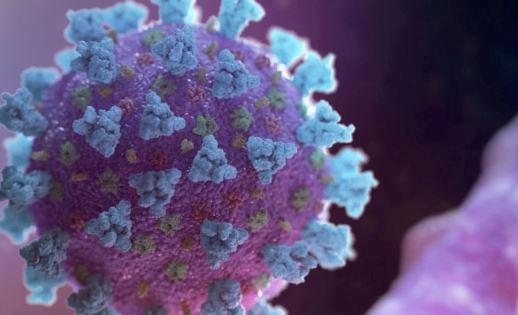 Covid nuk eshte krijuar ne laborator