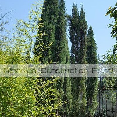 Qeparis | Kaleshi@ shpk