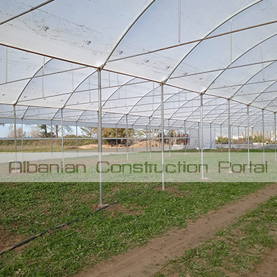 Sere diellore per prodhim fruta, perime | VELLEZERIT PAJA