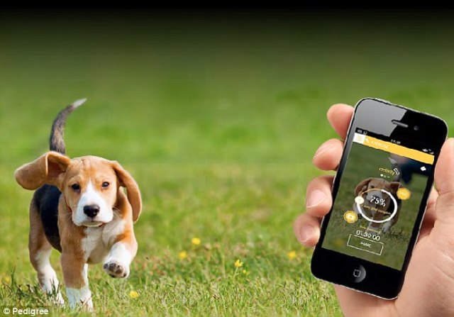 Fitness Pal, aplikacioni qe na meson se si te ushqejme qente Fitness Pal, aplikacioni qe na meson se si te ushqejme qente
